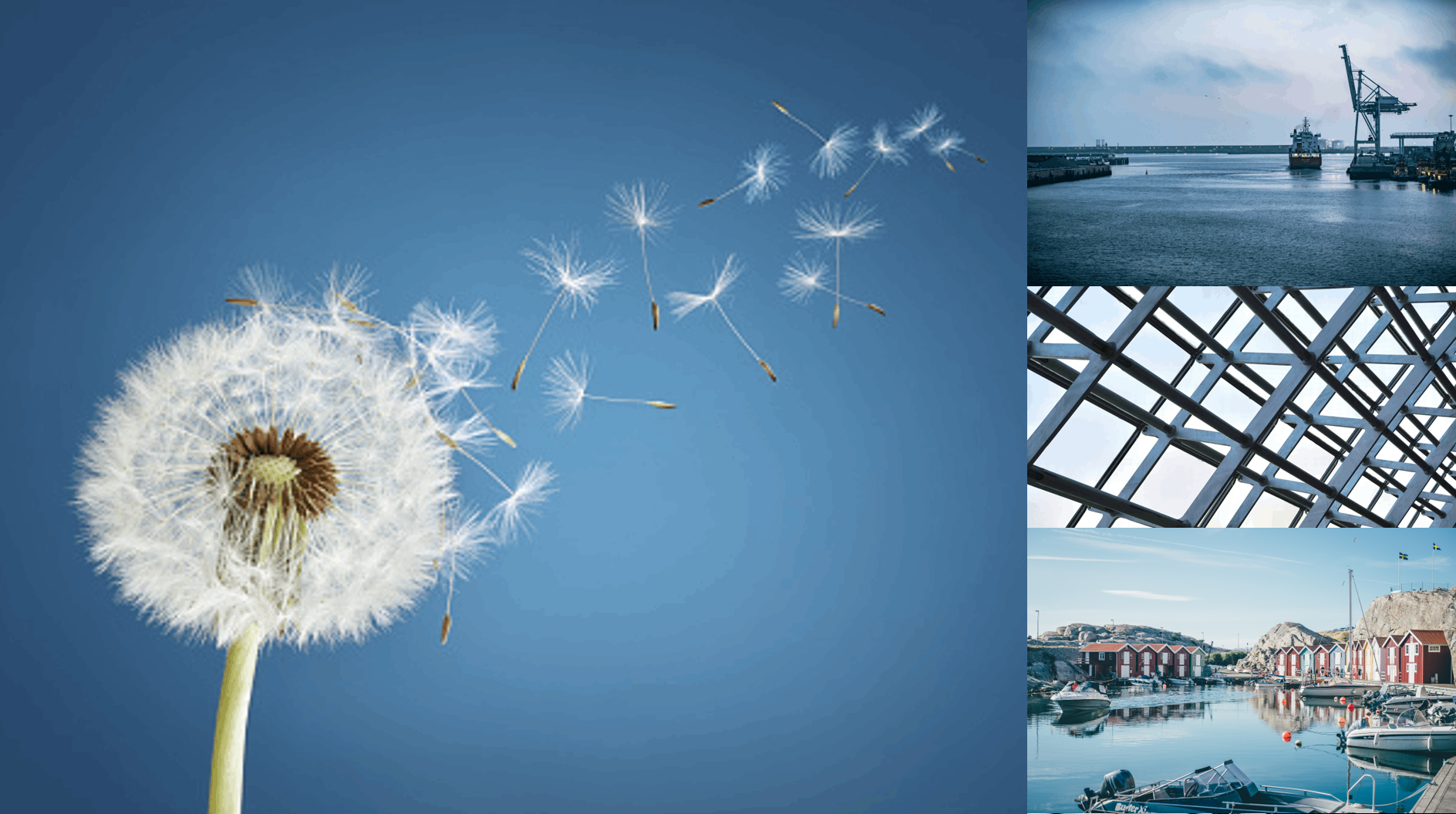 Leistungsschau "Leichtbau für die Mobilität der Zukunft" | Deutsch ...